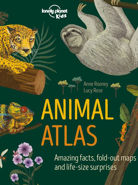 Animal Atlas | Girl.com.au