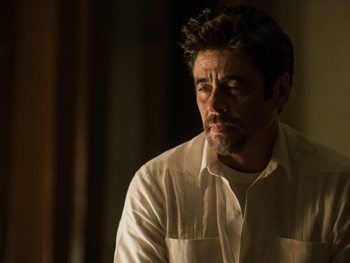 Benicio Del Toro Sicario: Day of the Soldado | Female.com.au